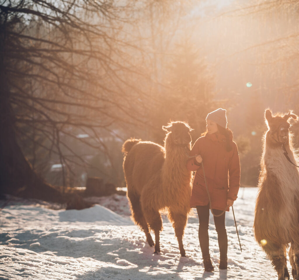 Press B2B Austria: Animal Experiences in Austria