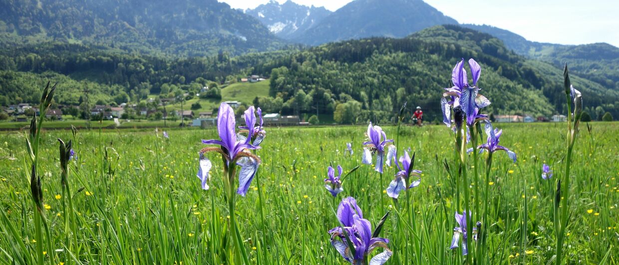 Press B2B Austria: Der Walgau-Rheintal-Bodensee-Radweg
